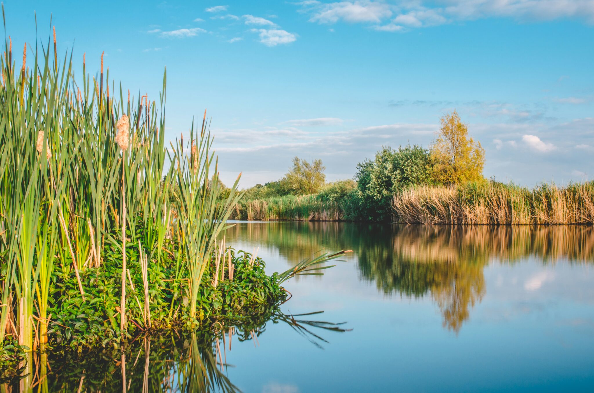 Hawthorn Pit Green Energy Park – NatPower UK